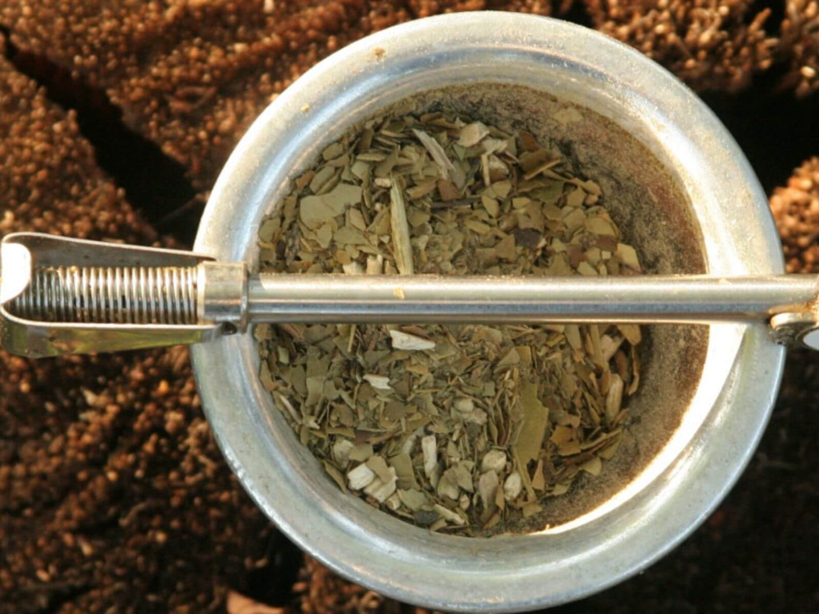 Consejos para tomar mate en plena pandemia Consejos para tomar mate en plena pandemia